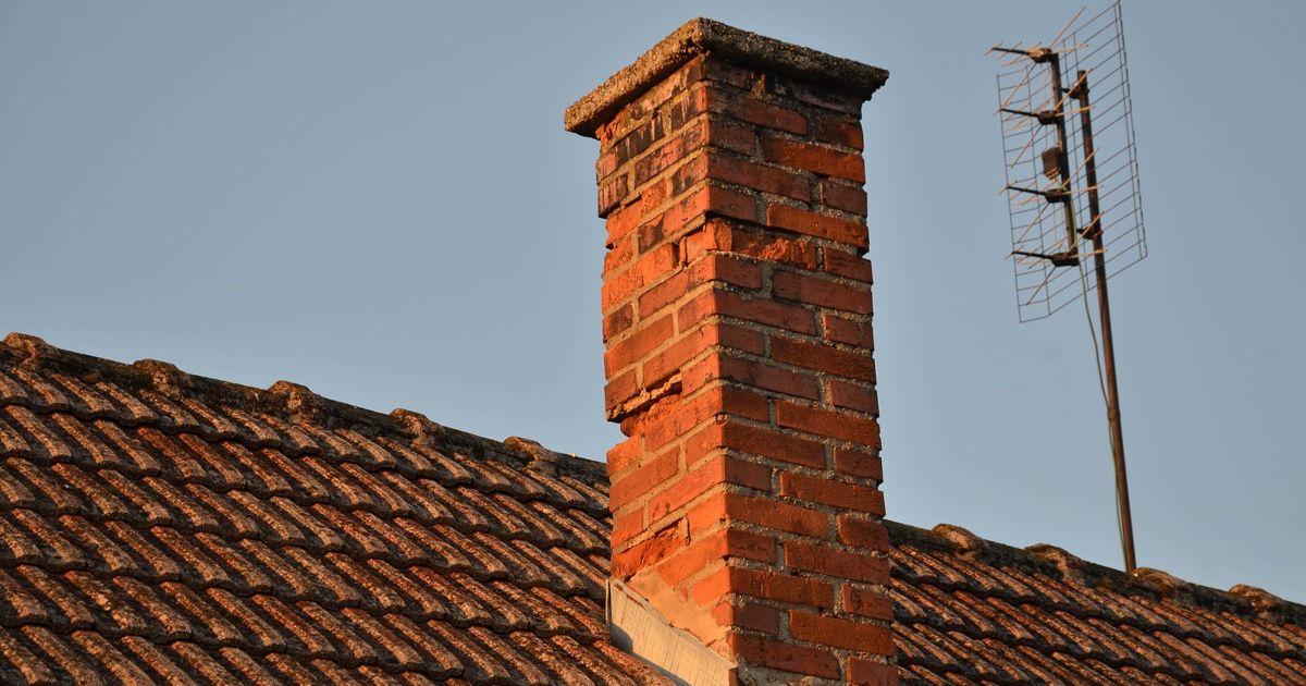 This Family Discovered a Strange Blockage in Their Chimney--and It Wasn ...