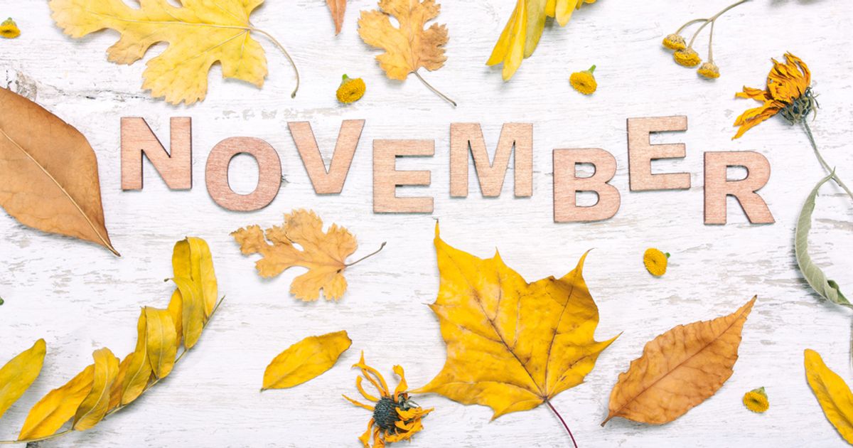 How Much Do You Know About November? - Heywise